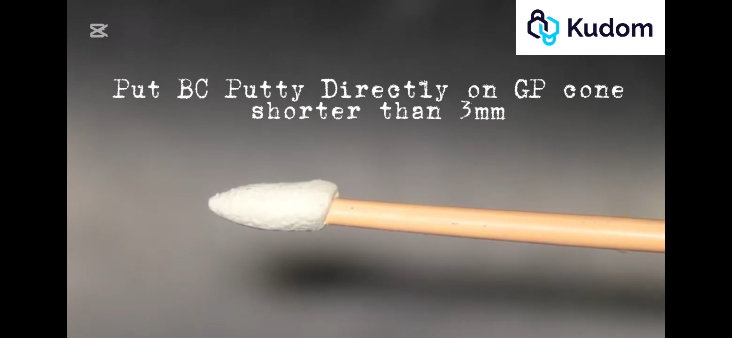 Kudom | BC putty apical Plug